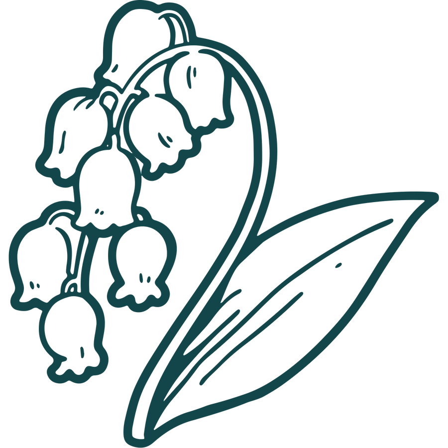 About MWS – Morningwitch